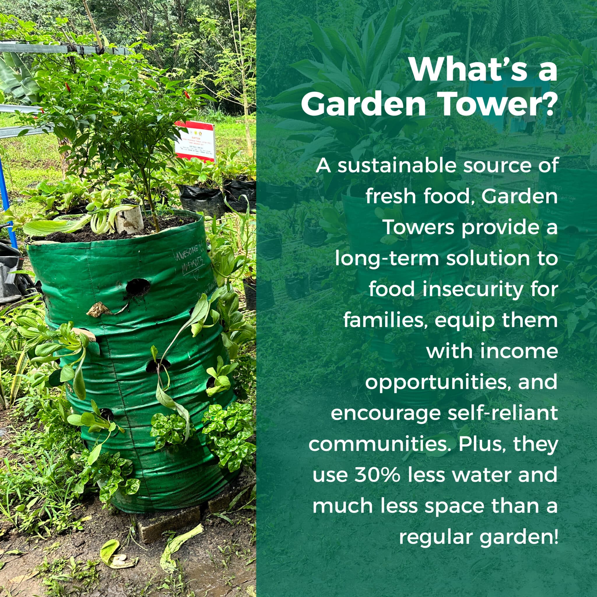 What Does Food Insecurity Look Like Around the World? - Usana Foundation