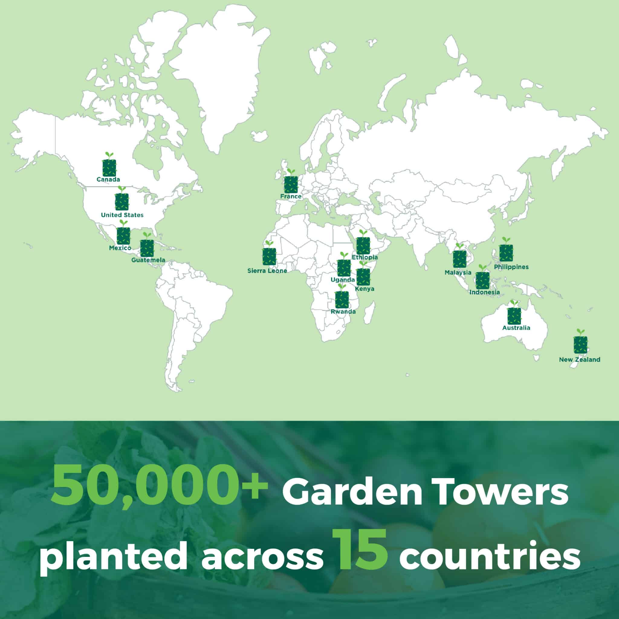 What Does Food Insecurity Look Like Around the World?